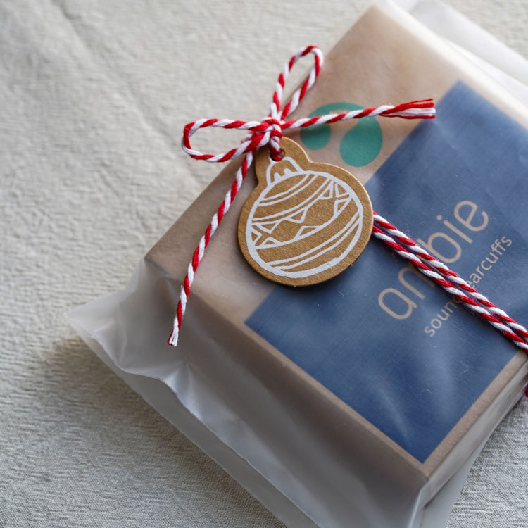 Webマニュアル｜ambie official – ambie STORE